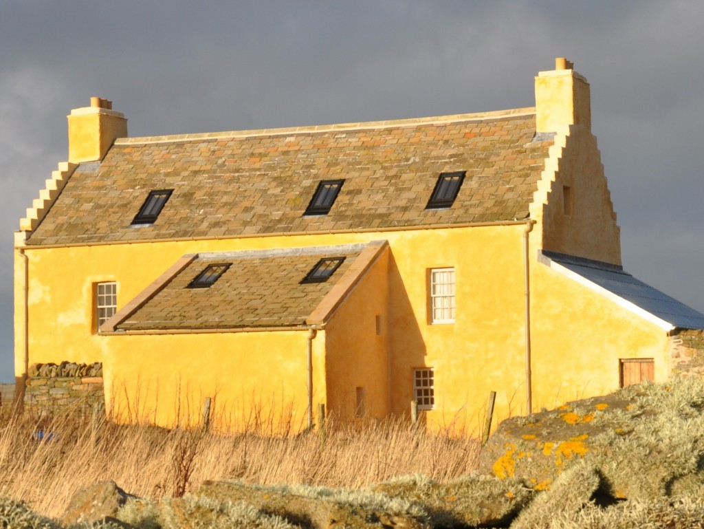 Rachel Mayhew | Architect